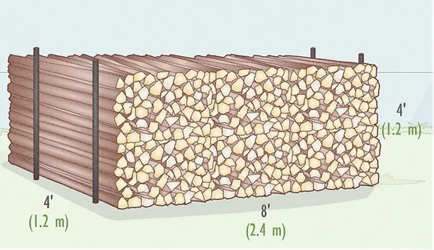 2025 Northern Nevada Public Health Home Heating Survey (Cint)